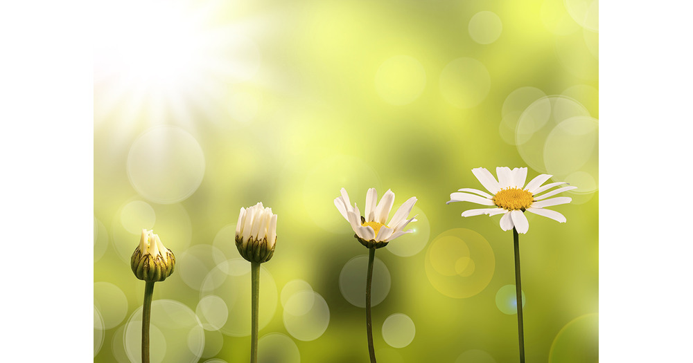 Super health check in 4 simple steps